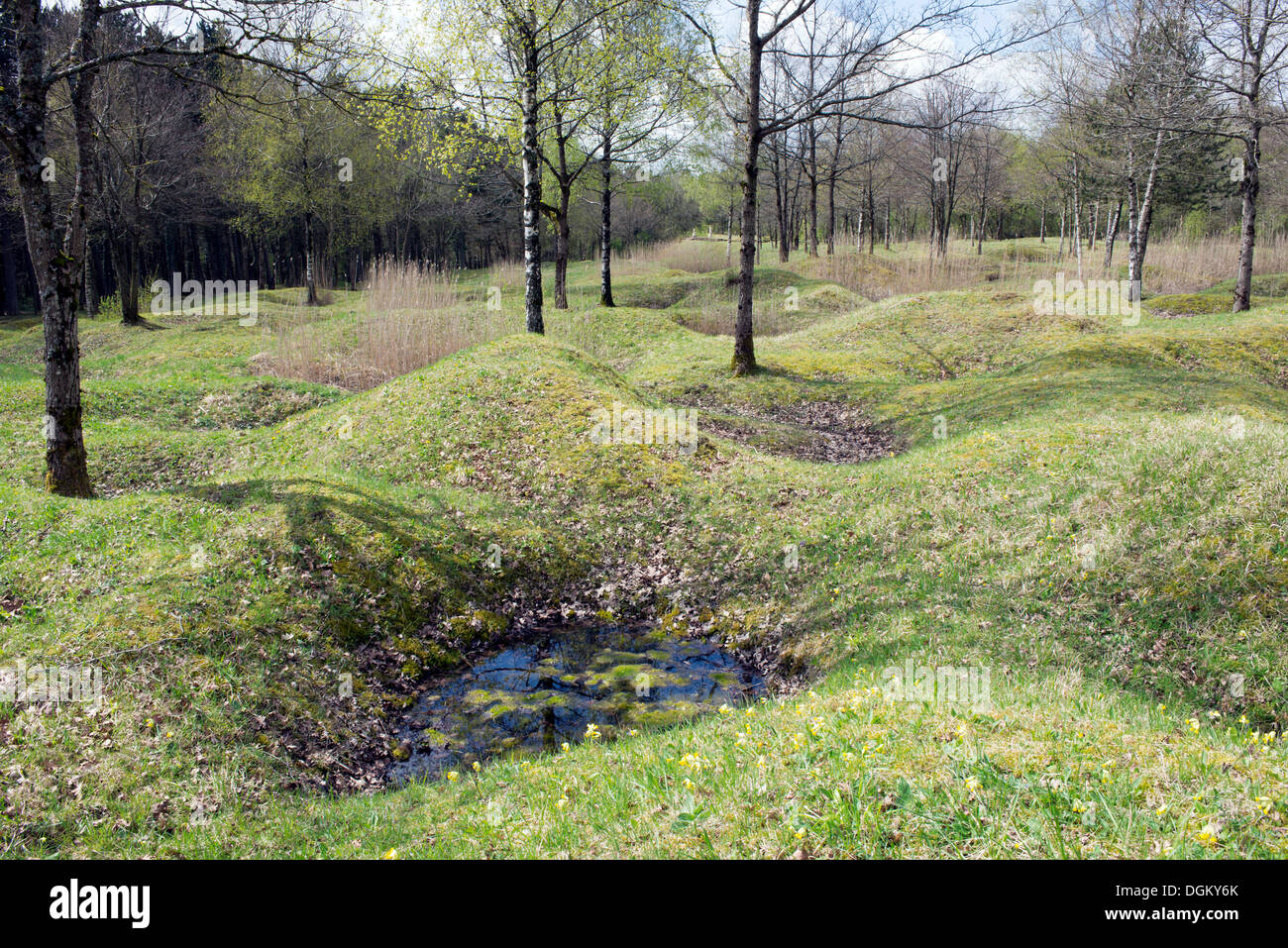Bomb craters in the grounds, memorial for the Battle of Verdun, First ...