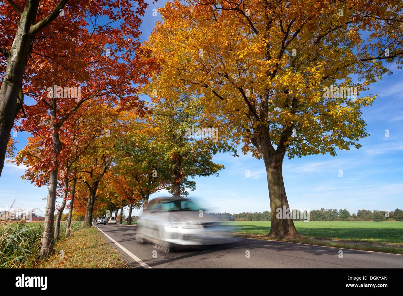 Dissen striesow hi-res stock photography and images - Alamy