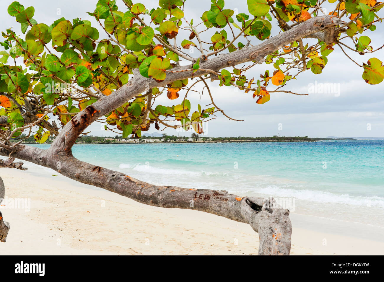 Beach guardalavaca holguin cuba hi-res stock photography and images - Alamy