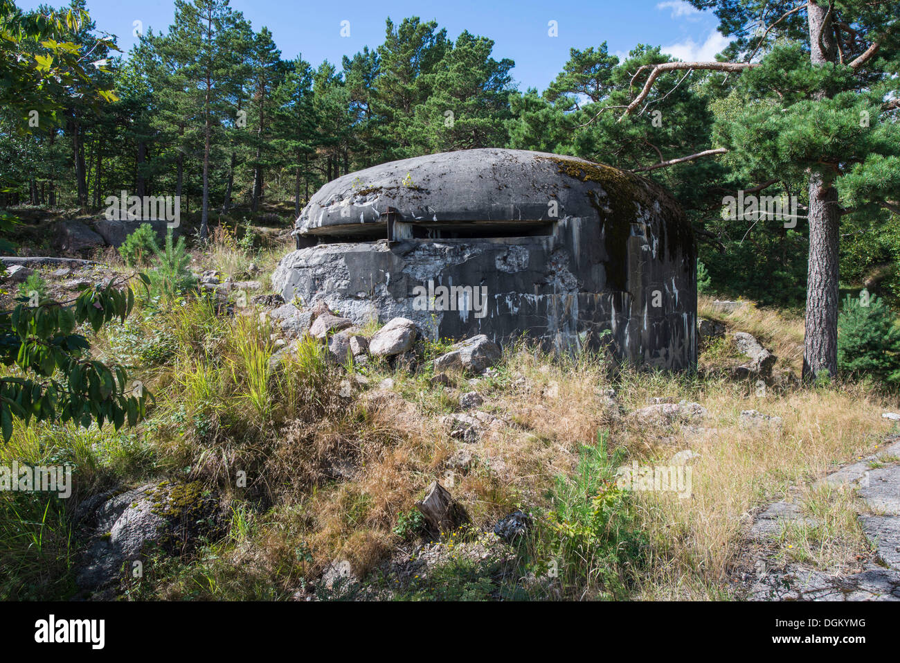 Old German bunker from the Second World War, in the woods Stock Photo ...