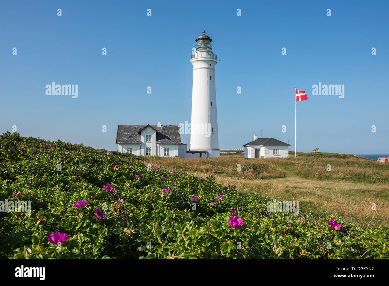 Jutland hirtshals hi-res stock photography and images - Alamy