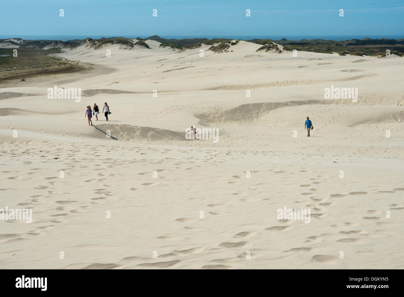Sand migrating rabjerg mile dune hi-res stock photography and images ...