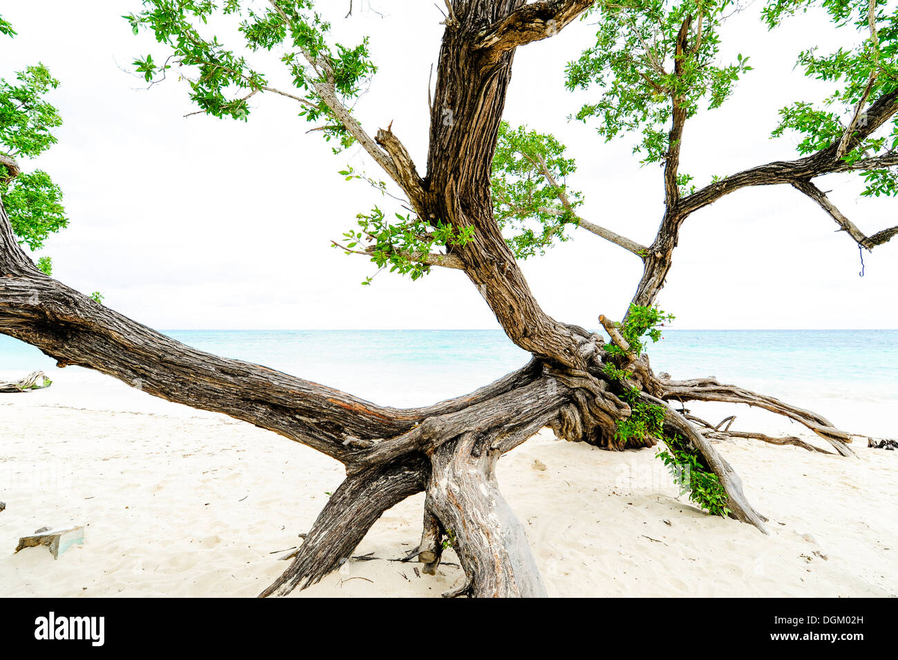 Beach guardalavaca holguin cuba hi-res stock photography and images - Alamy