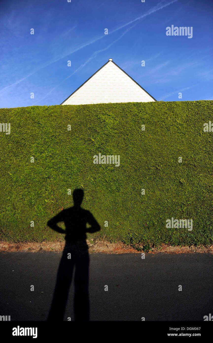 Shadow of a man on a hedge in front of a house Stock Photo - Alamy