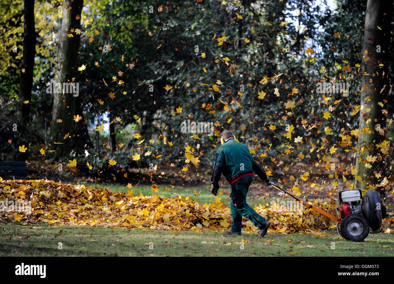 Leaf blower hi-res stock photography and images - Alamy