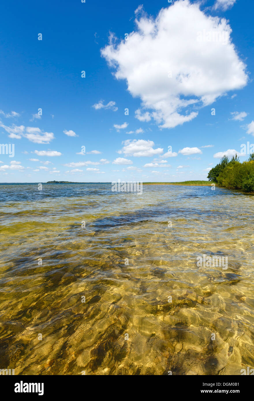 Shatsky national natural park hi-res stock photography and images - Alamy