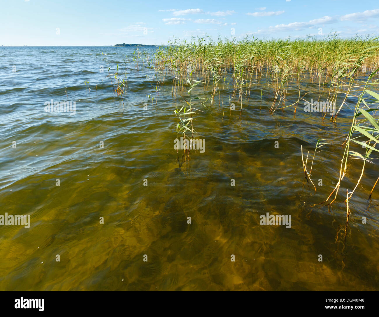 Shatsky national natural park hi-res stock photography and images - Alamy