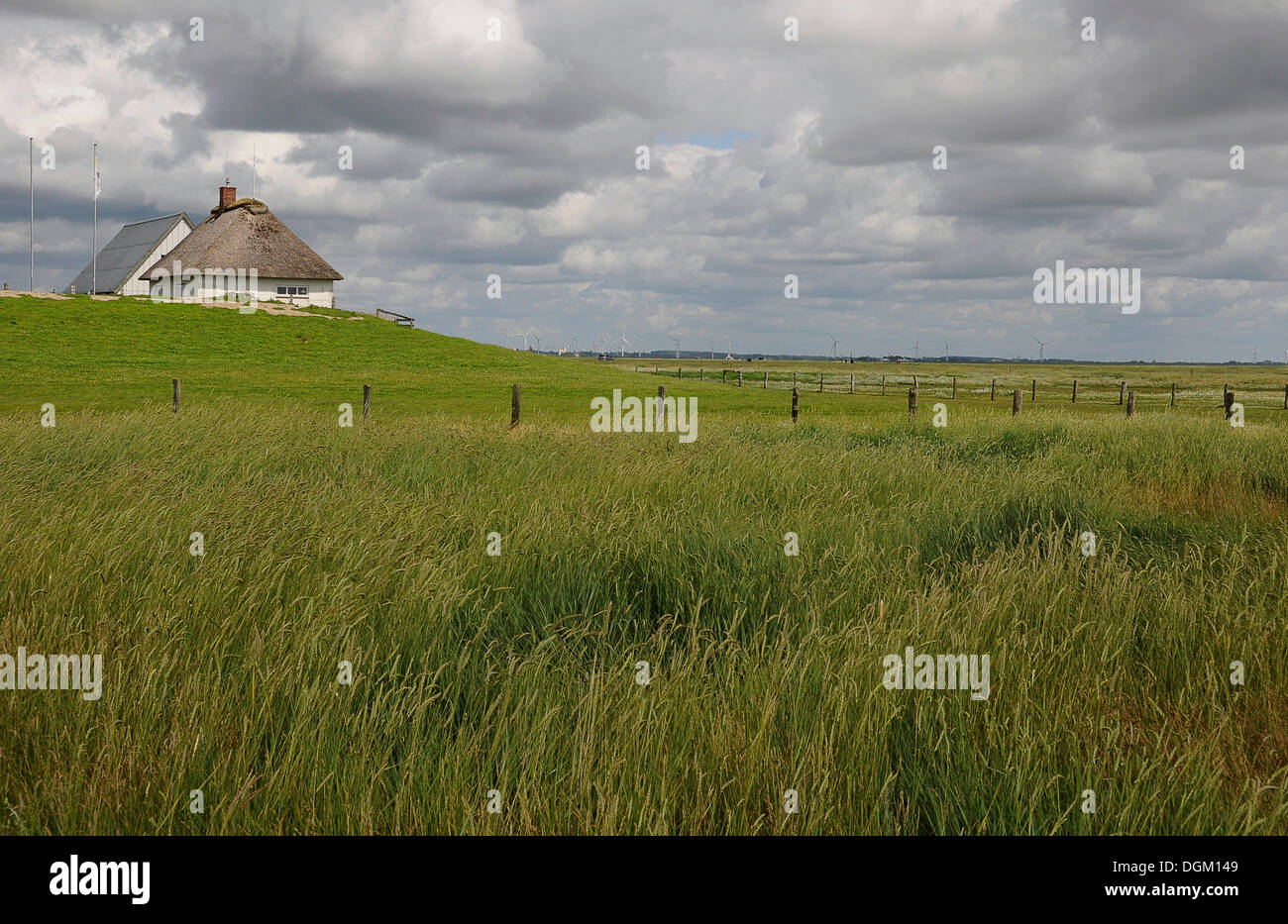 Terp building hi-res stock photography and images - Alamy