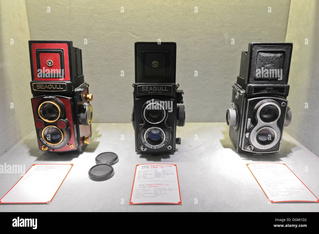 from left: Seagull 4A-109, Seagull WWSC-120 and Shanghai 4 TLR cameras ...