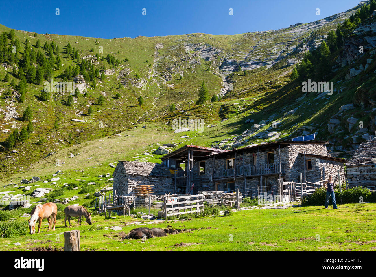Alpine life at Rifugio Alpe Nimi, Maggia Valley, Ticino, Switzerland ...