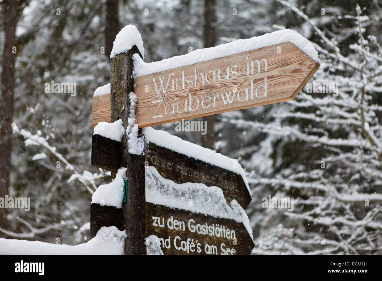 Zauberwald bavaria hi-res stock photography and images - Alamy