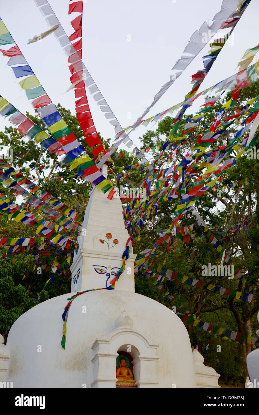 Stupa & Prayer flags in the Whochen Thokjay Choyaling Monastery ...
