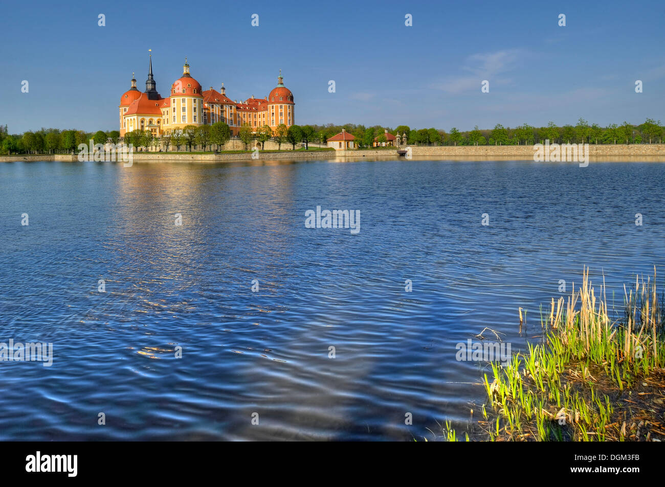 Baroque Schloss Moritzburg castle, Dresden, Saxony Stock Photo - Alamy