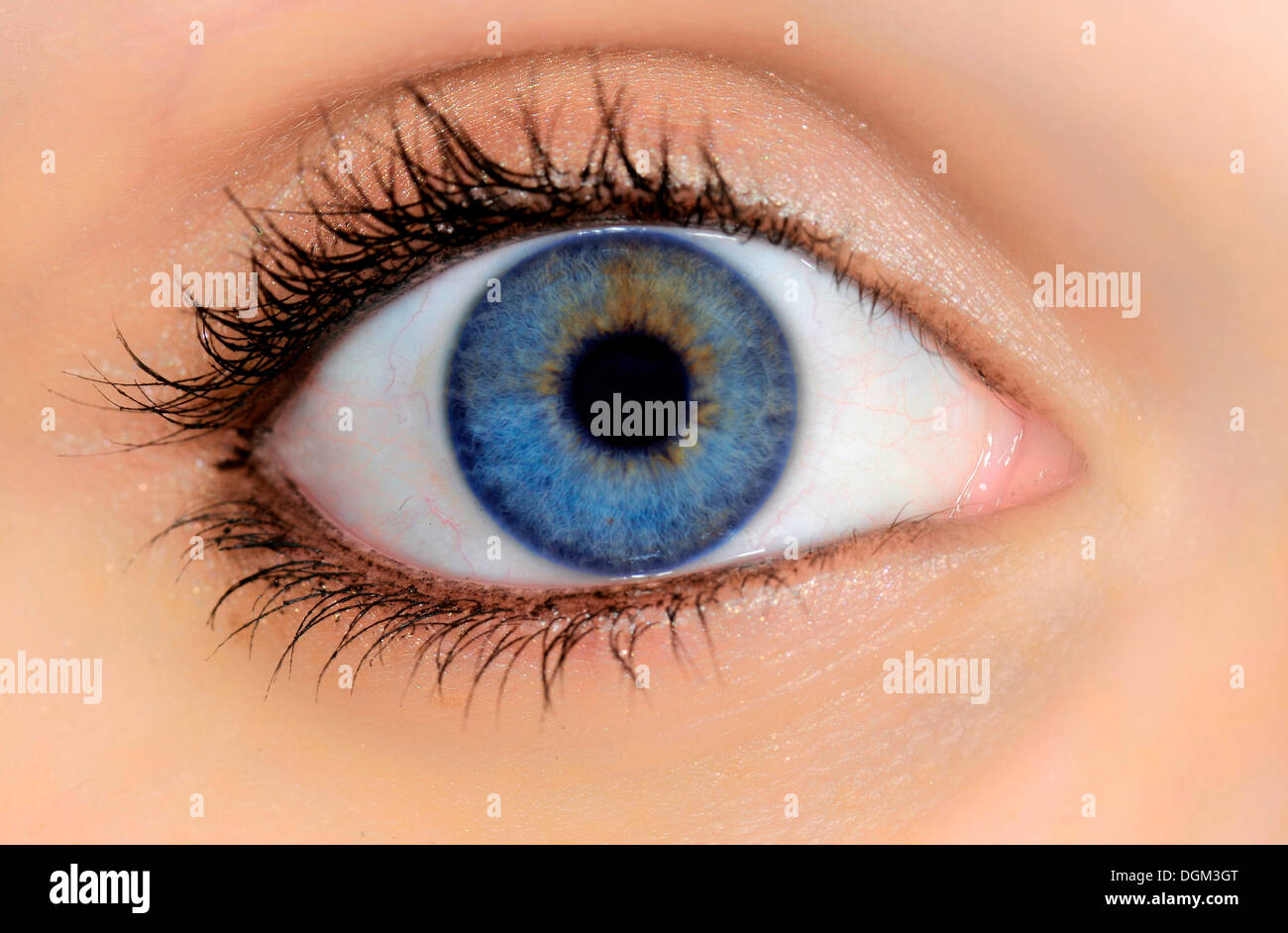 Detail of an eye with a blue iris Stock Photo - Alamy
