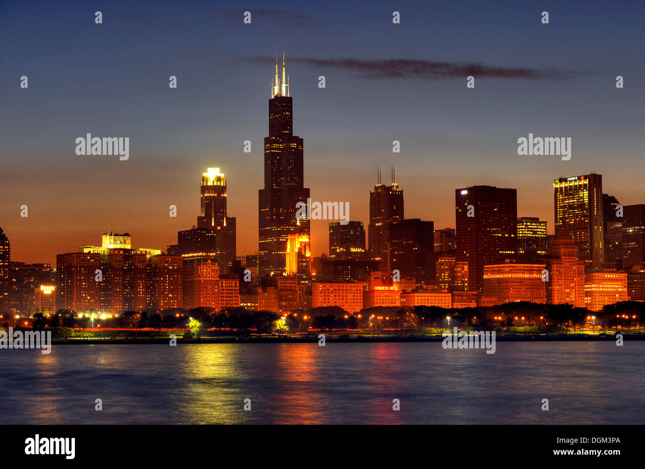 Sears Tower At Night