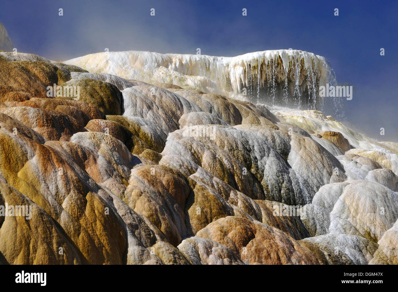 Palette Spring Terrace, Lower Terraces, limestone sinter terraces ...