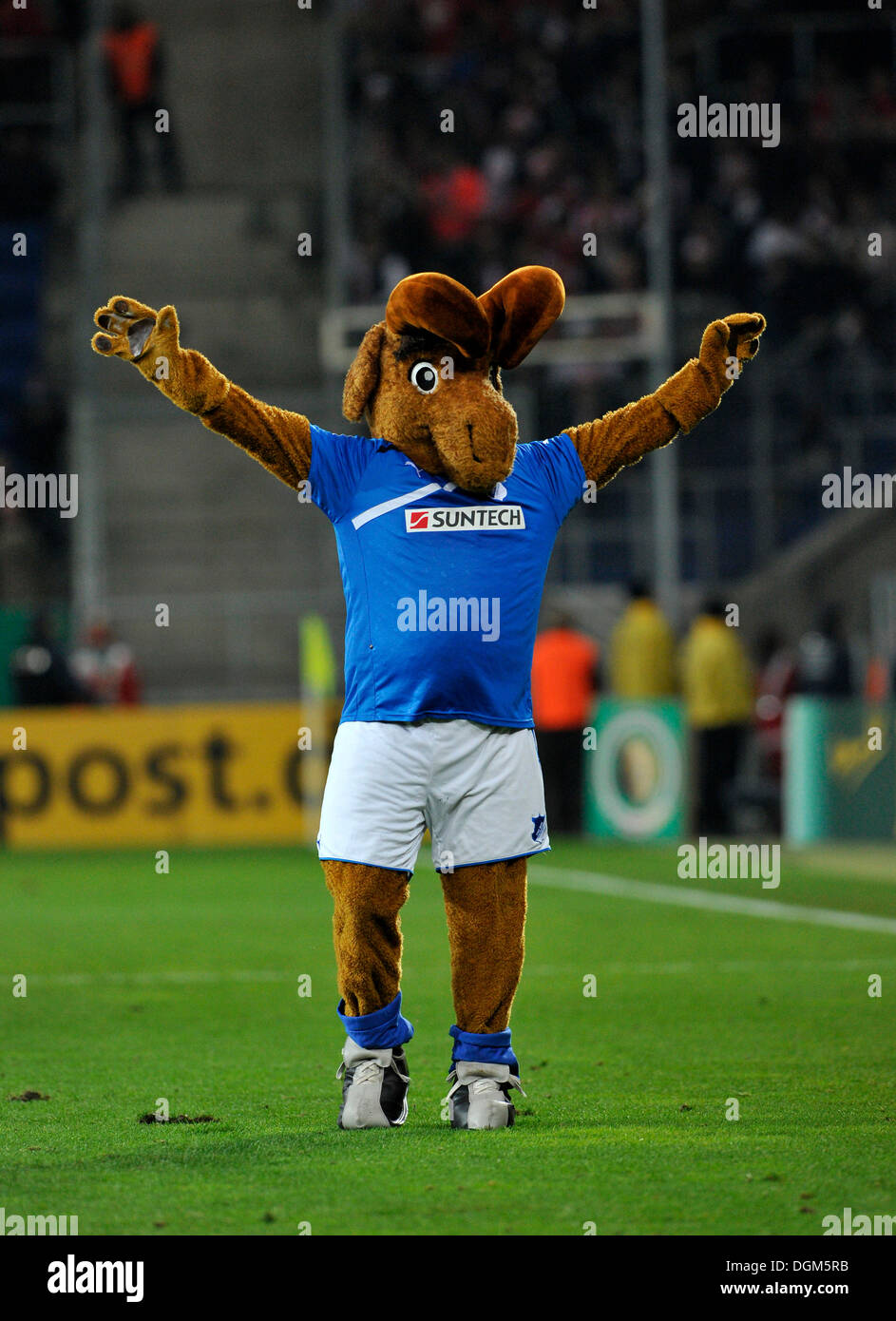 Hoffi hi-res stock photography and images - Alamy