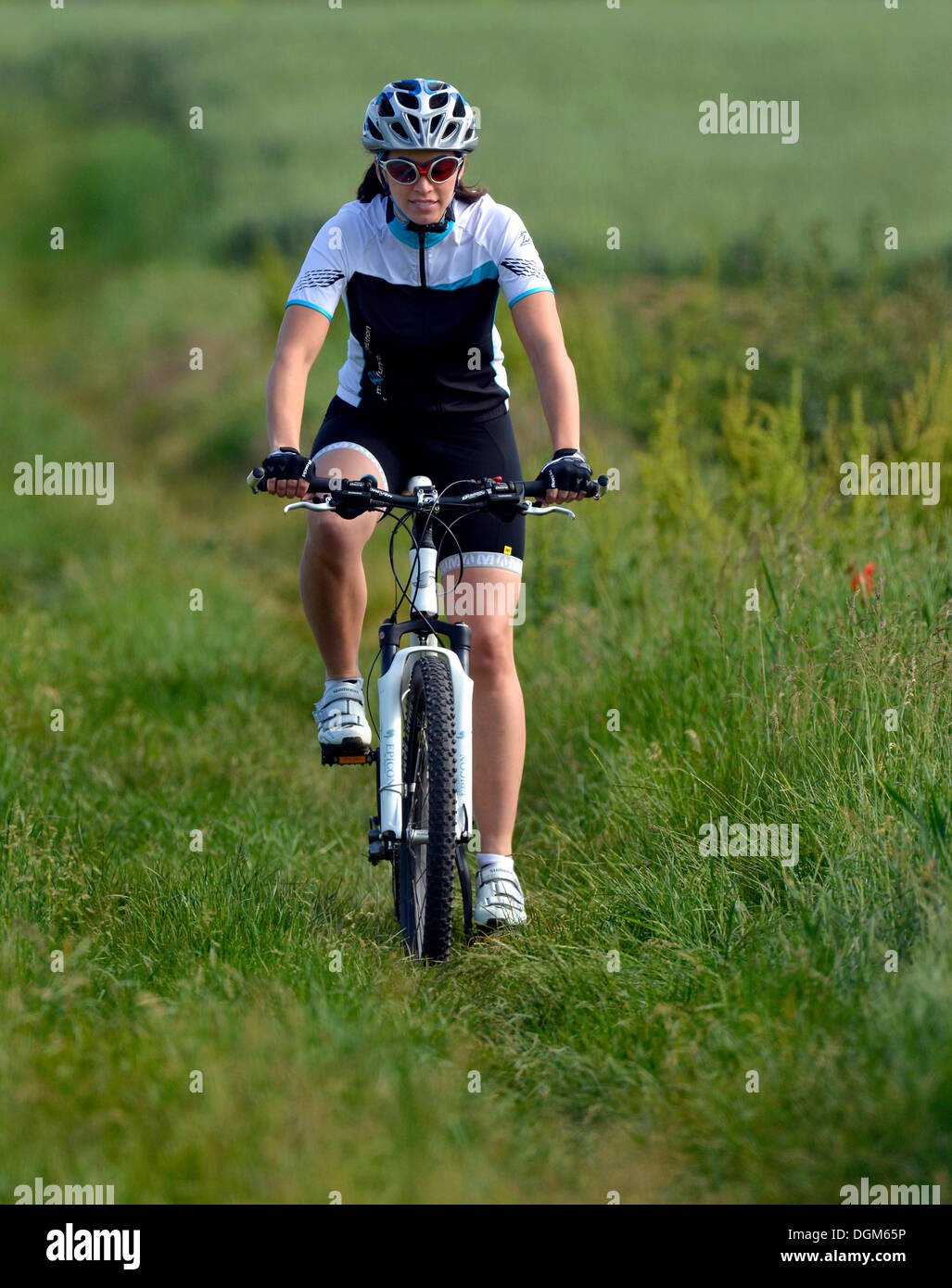Bike ride riding cycles bicycle hi-res stock photography and images - Alamy
