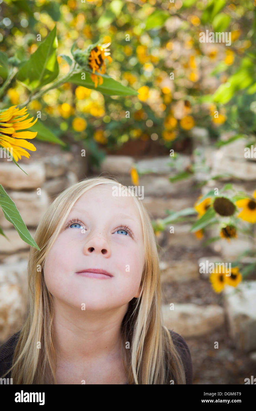 A child, a young girl looking up at a sunflower in a flower garden ...
