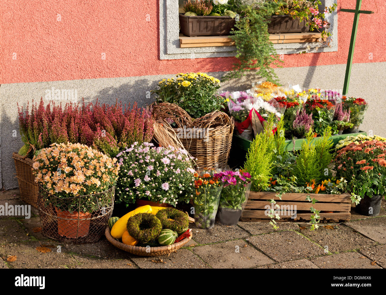 The old florist shop hi-res stock photography and images - Alamy