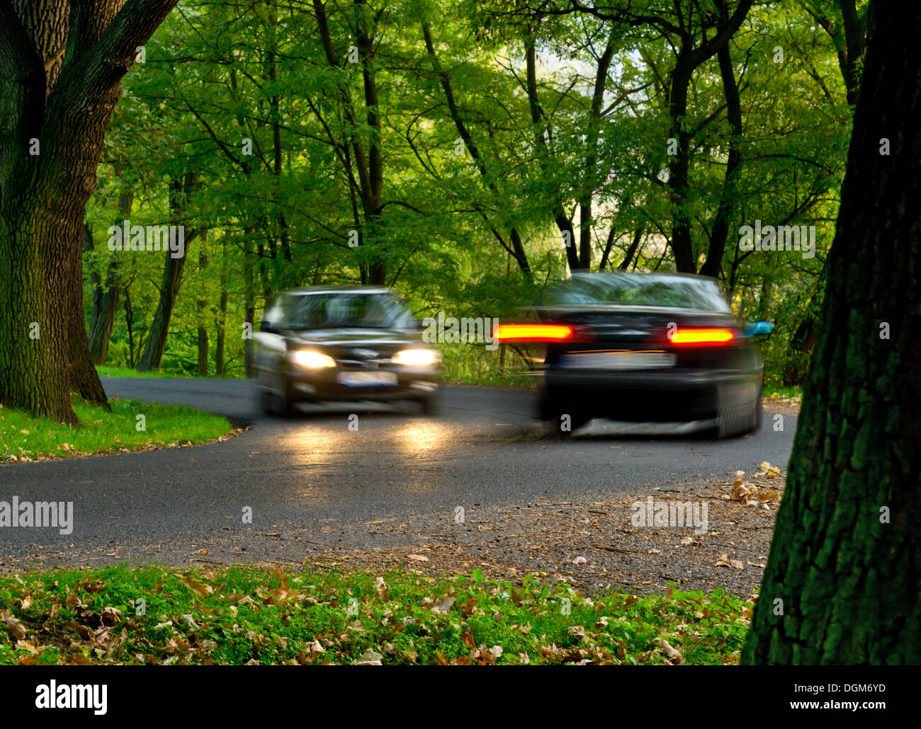 two cars moving road in park by night Stock Photo - Alamy