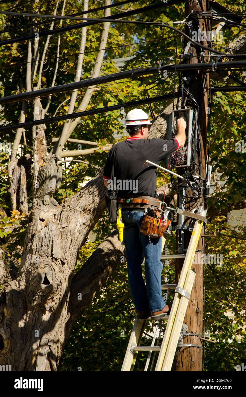 Worker safely on a ladder repairing a telephone internet connection ...