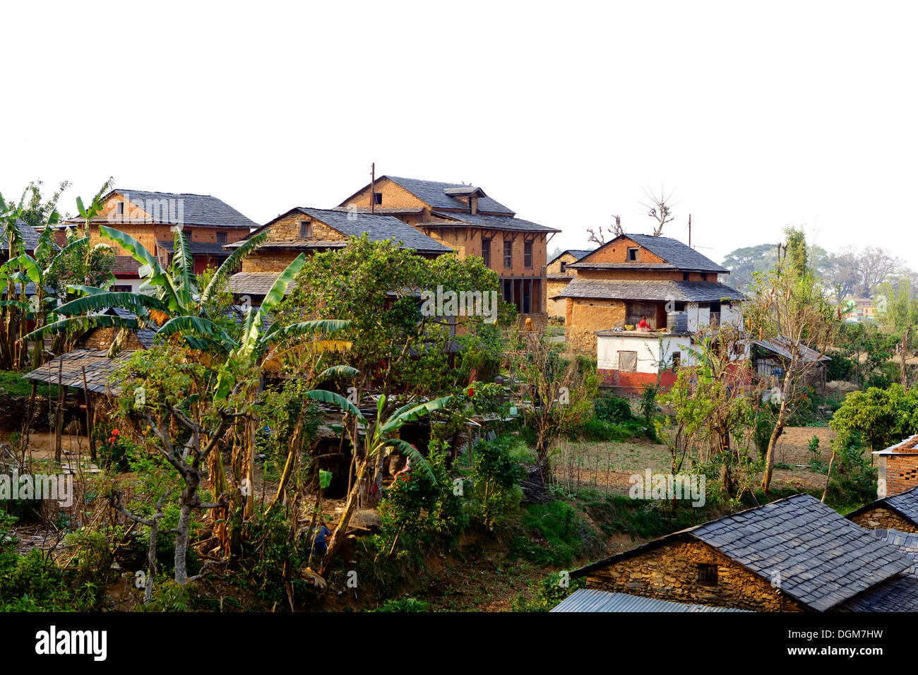 Asia Rural Homes