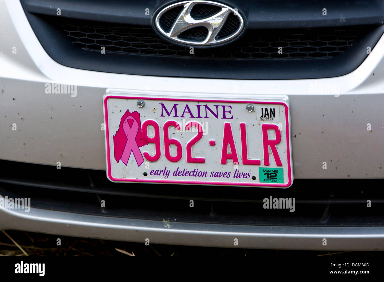 U.S. license plate of the State of Maine, USA Stock Photo - Alamy