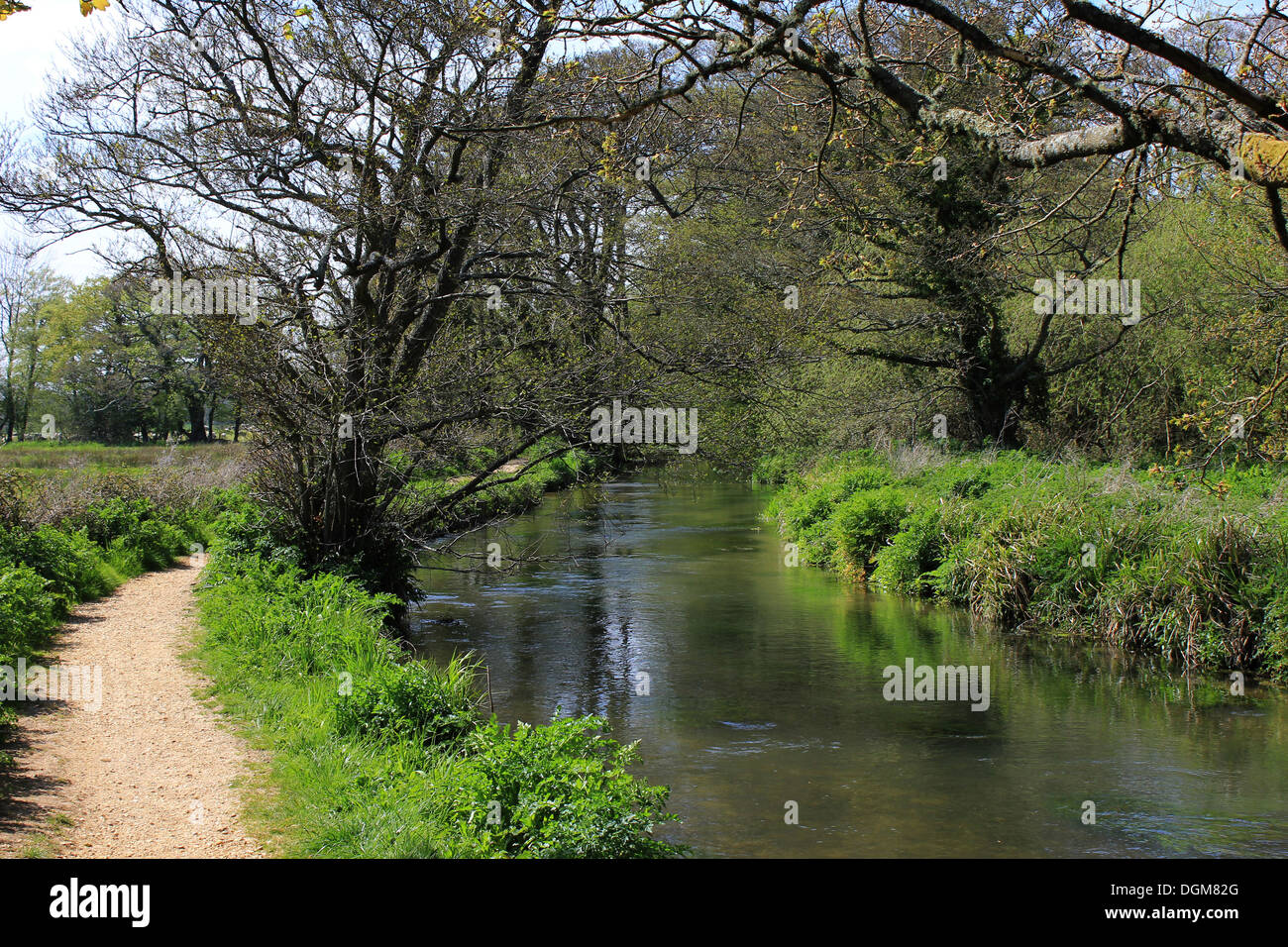 Lower bockhampton, dorset hi-res stock photography and images - Alamy