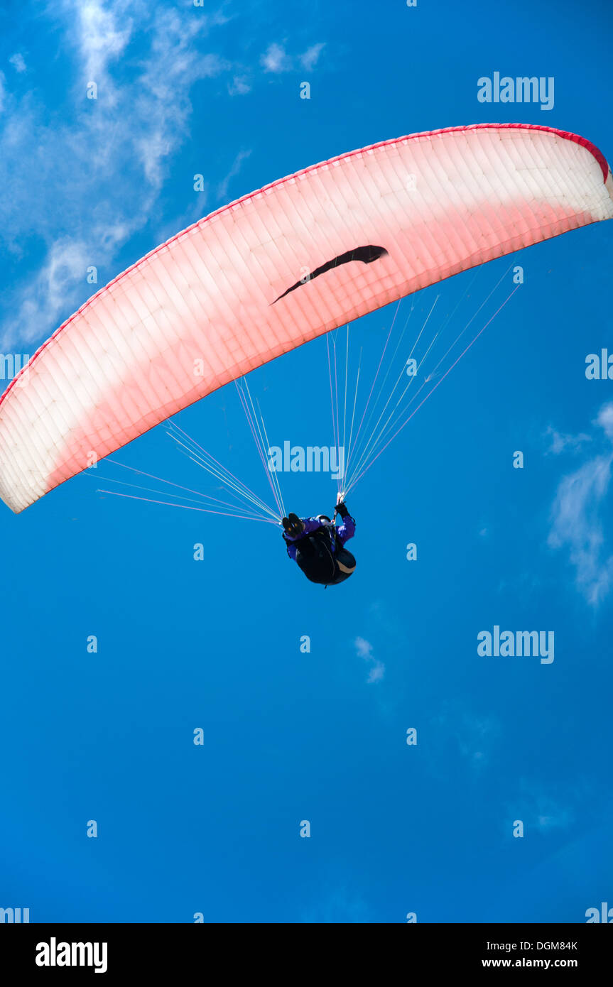 Portrait image of one person paragliding, seen from below isolated ...
