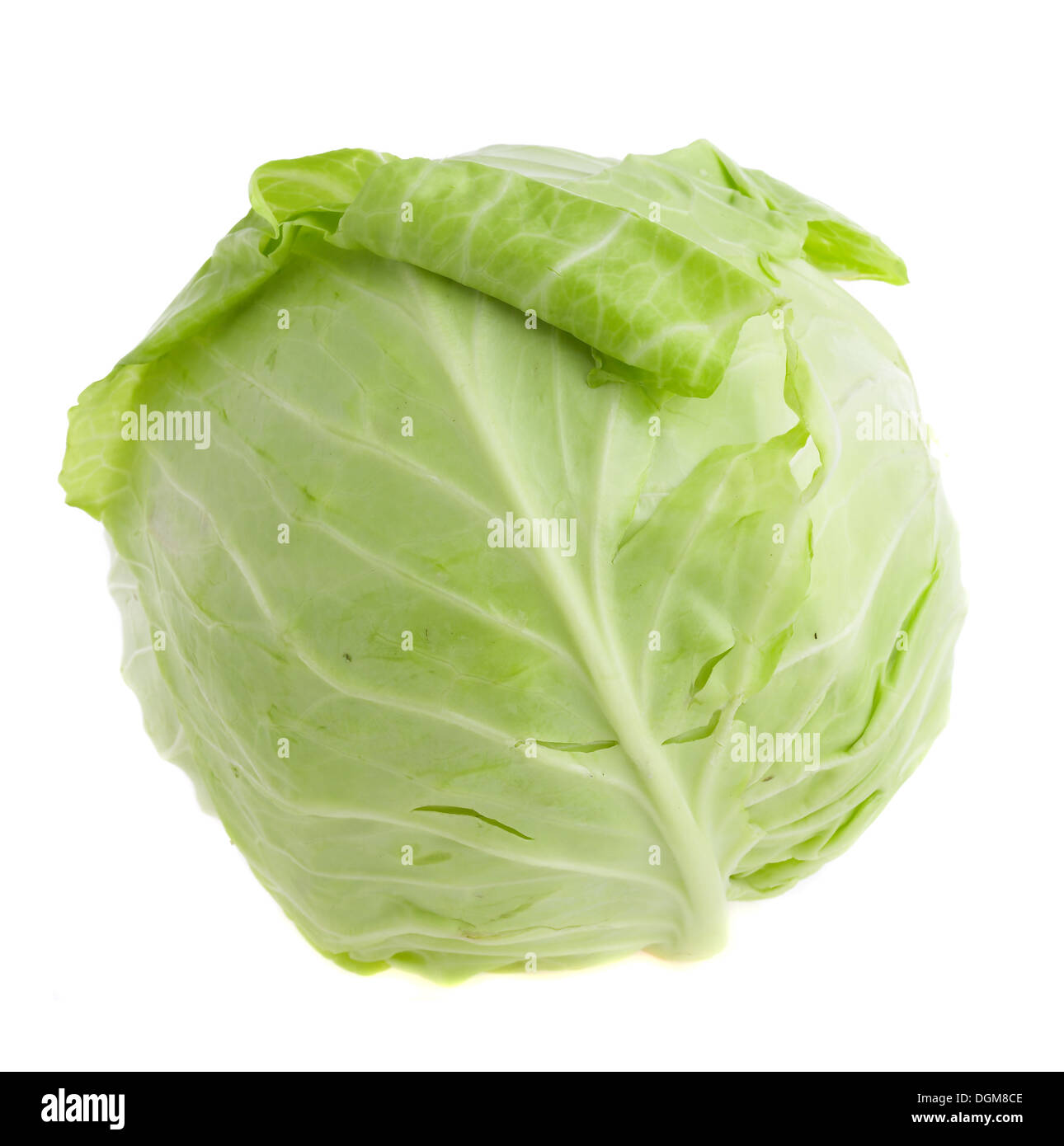 Fresh white cabbage isolated hi-res stock photography and images - Alamy