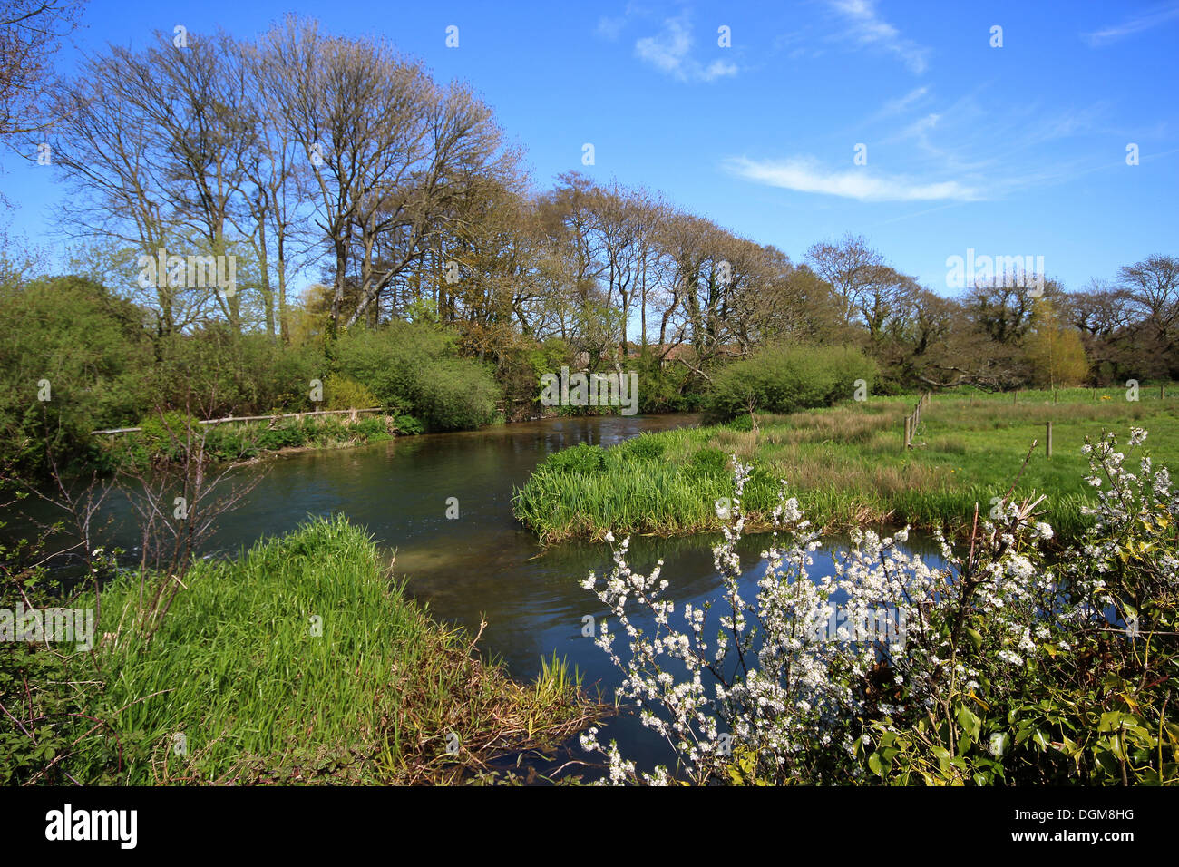 Bockhampton hi-res stock photography and images - Alamy