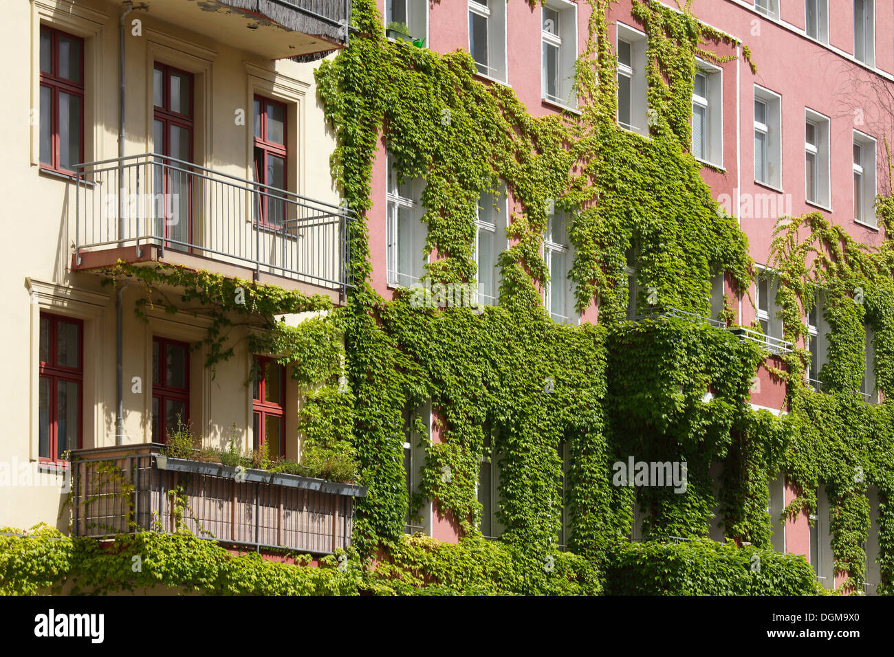 Berlin, Germany, overgrown with creepers Altbaufassade Stock Photo - Alamy