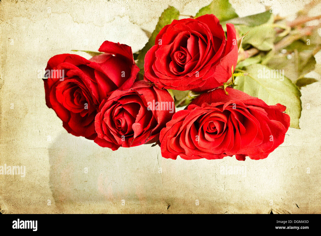 Water covered red roses hi-res stock photography and images - Alamy