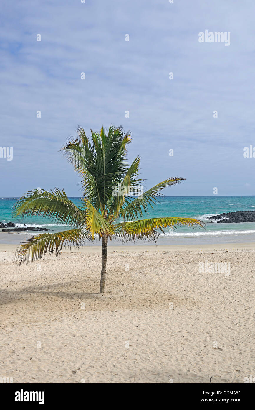 Isabela Island Beach