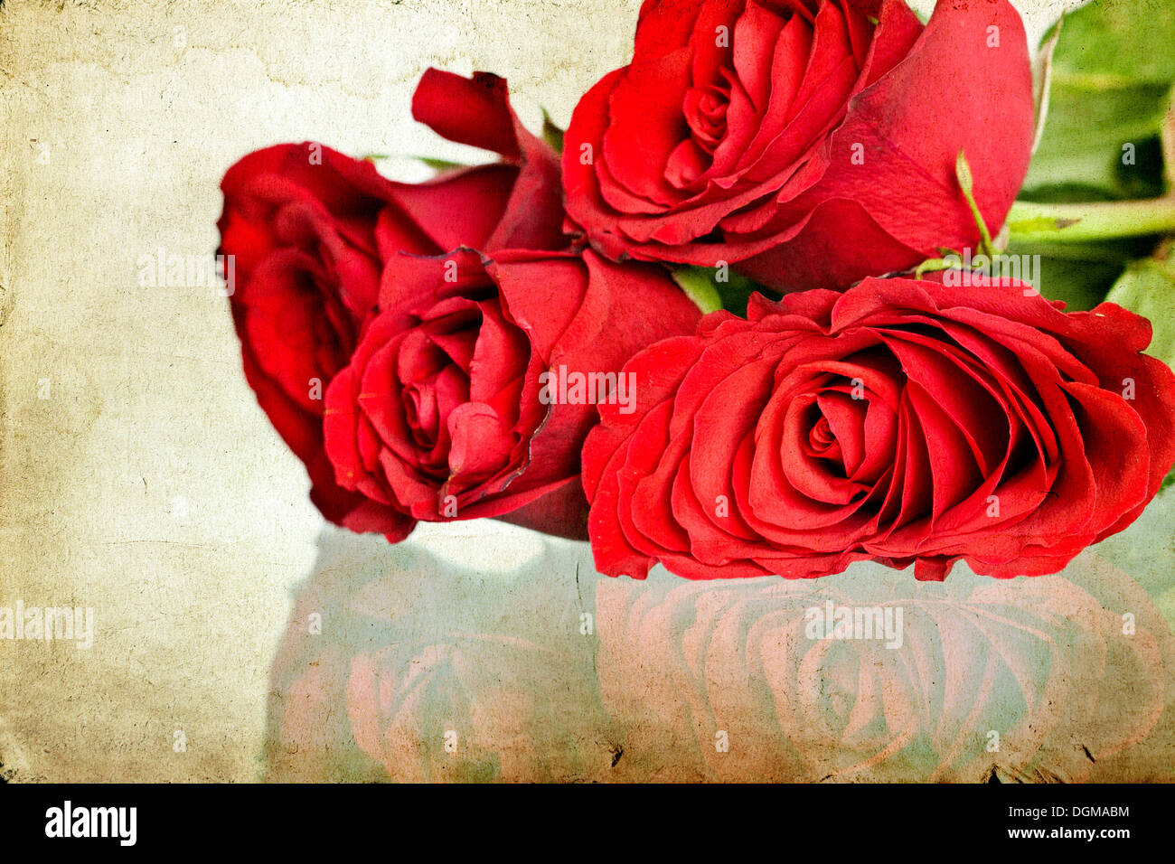 Water covered red roses hi-res stock photography and images - Alamy