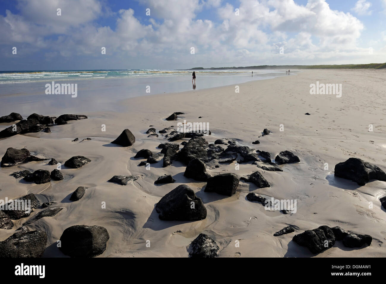 Beach of Tortuga Bay, Santa Cruz Island, Galapagos Islands, UNESCO ...