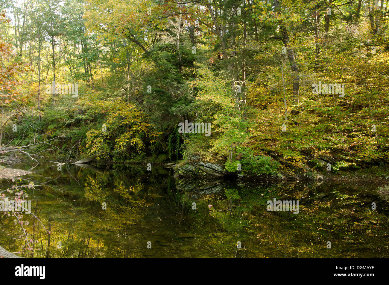 Bushkill Creek and forest in Jacobsburg State park Nazareth, PA. USA ...