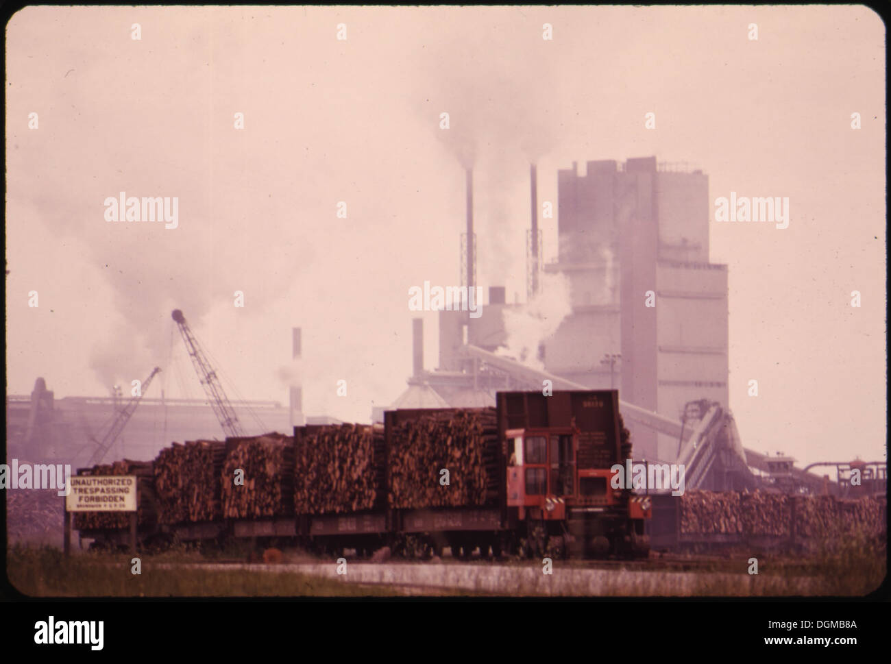 This photograph shows the Brunswick Pulp and Paper Plant, a major ...