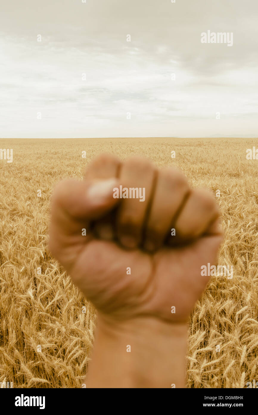 A hand making a fist. A whatfield. A gesture of defiance Stock Photo ...