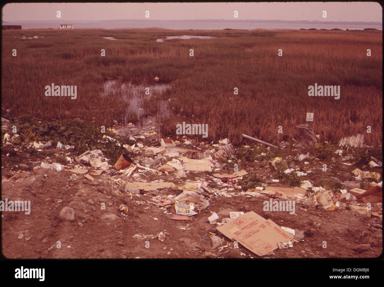 The Middletown Dump, spilling into an adjacent salt marsh with the ...