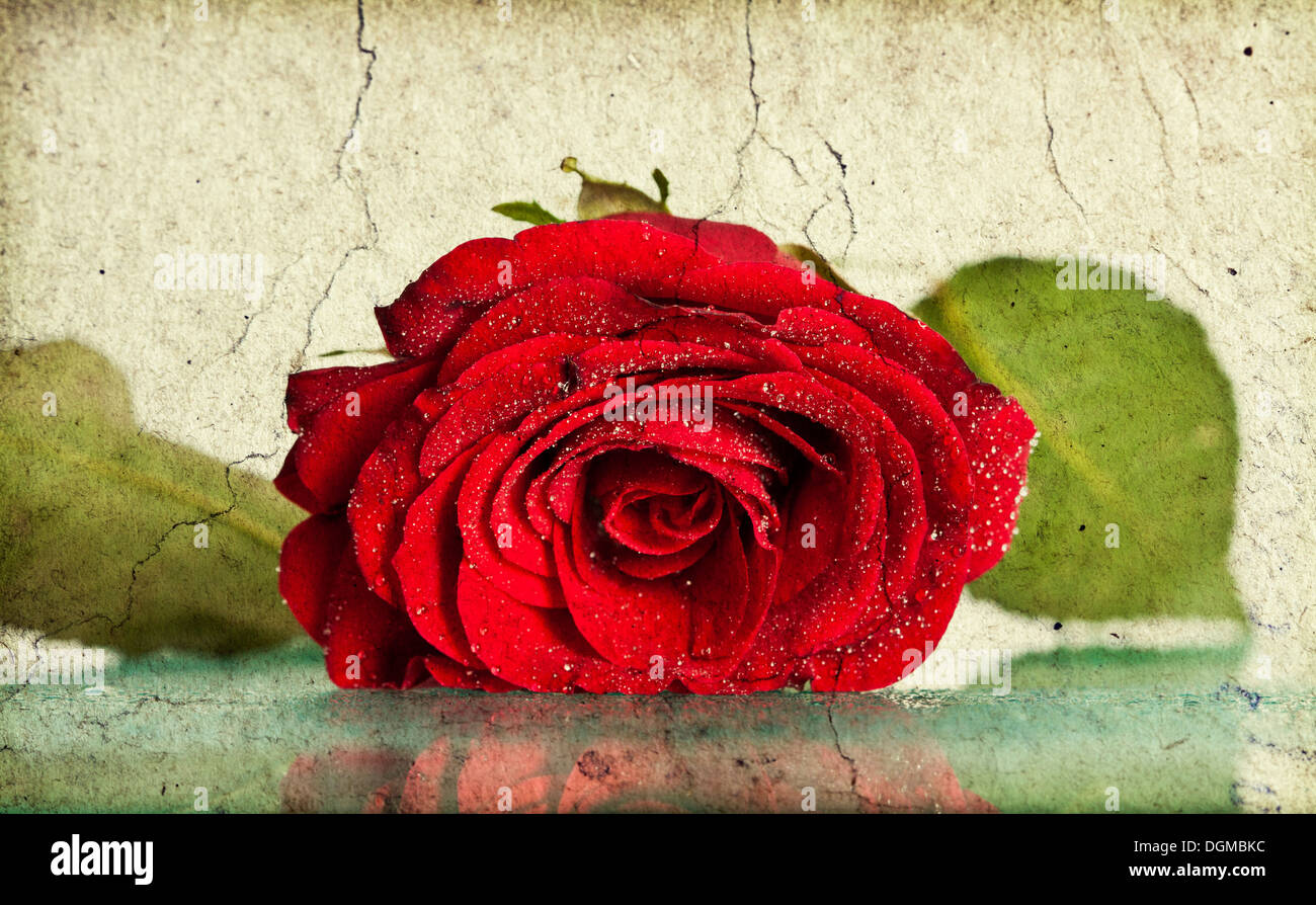 Grunge retro background with red rose and copy space Stock Photo - Alamy