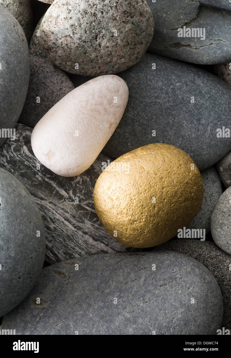 Gilded river stone amidst other river stones Stock Photo - Alamy