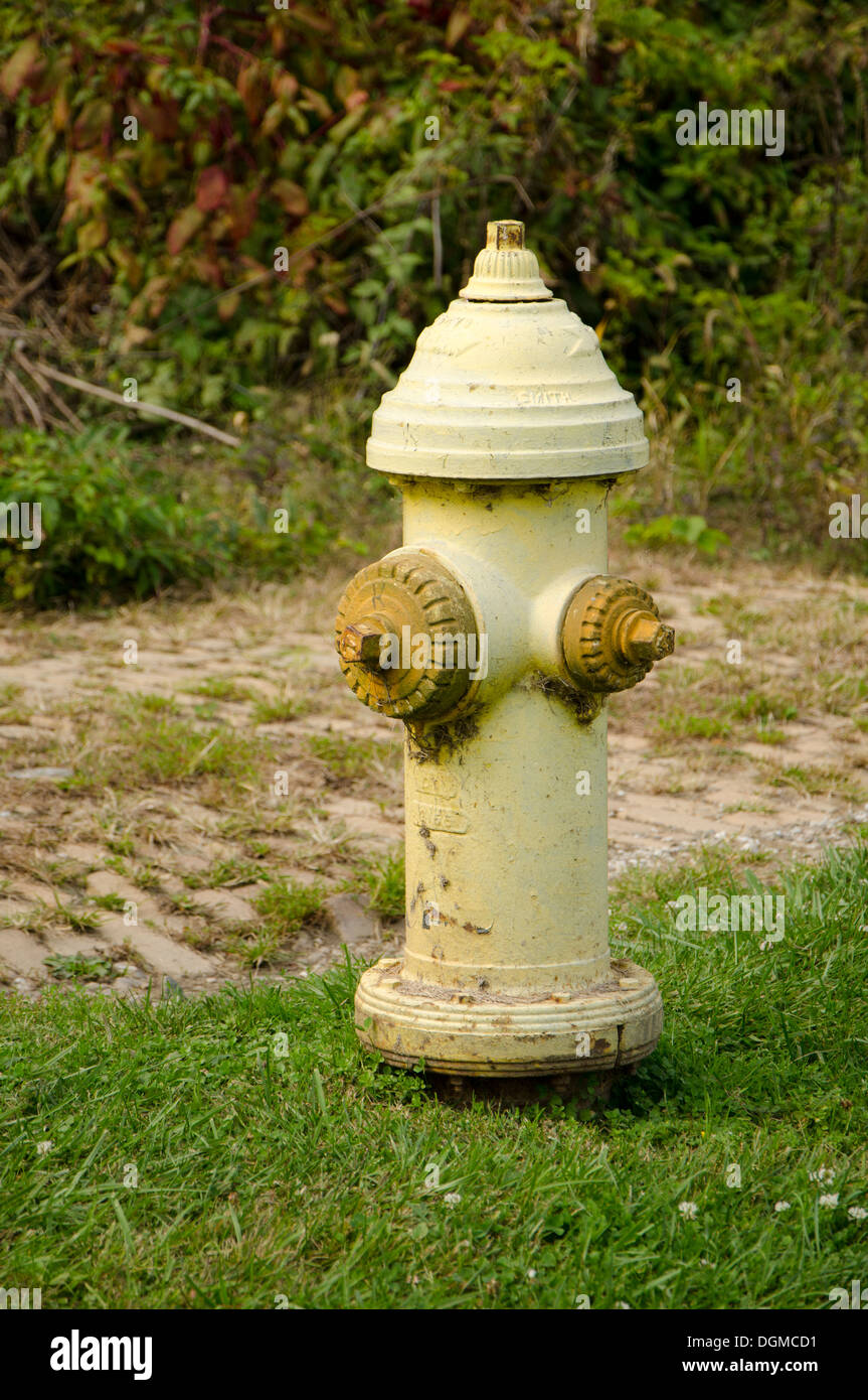 Yellow Fire Hydrant USA Stock Photo - Alamy