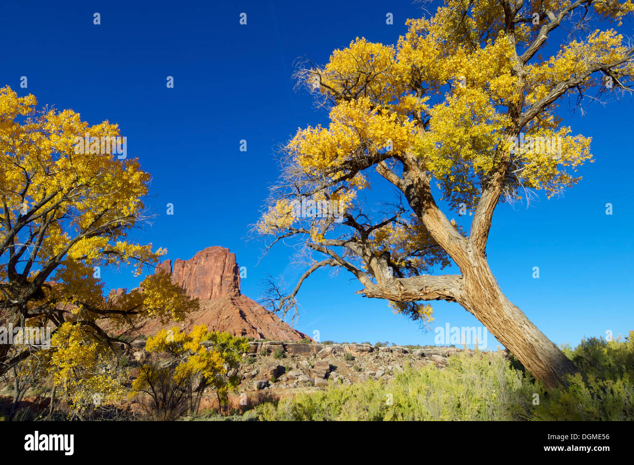 hill called "Jack Bridger" at dawn in Indian Creek, near Canyonlands ...