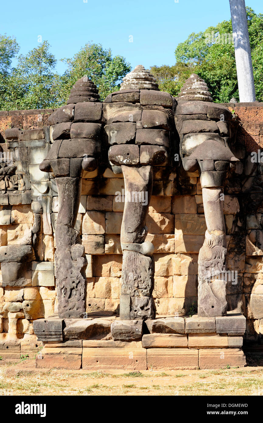 Three headed elephant hi-res stock photography and images - Alamy