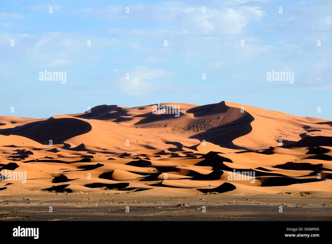 Sand dunes, sandy desert, Erg Chebbi, Sahara, southern Morocco, Morocco ...