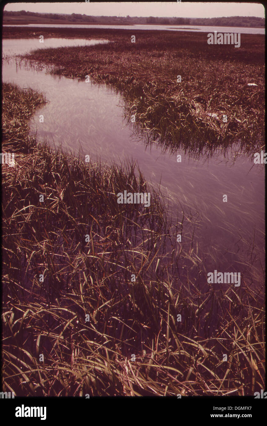 Coastal home rhode island hi-res stock photography and images - Alamy