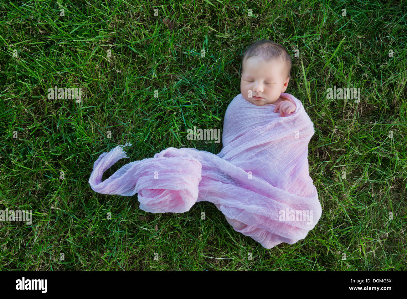 Newborn baby, ten days Stock Photo - Alamy