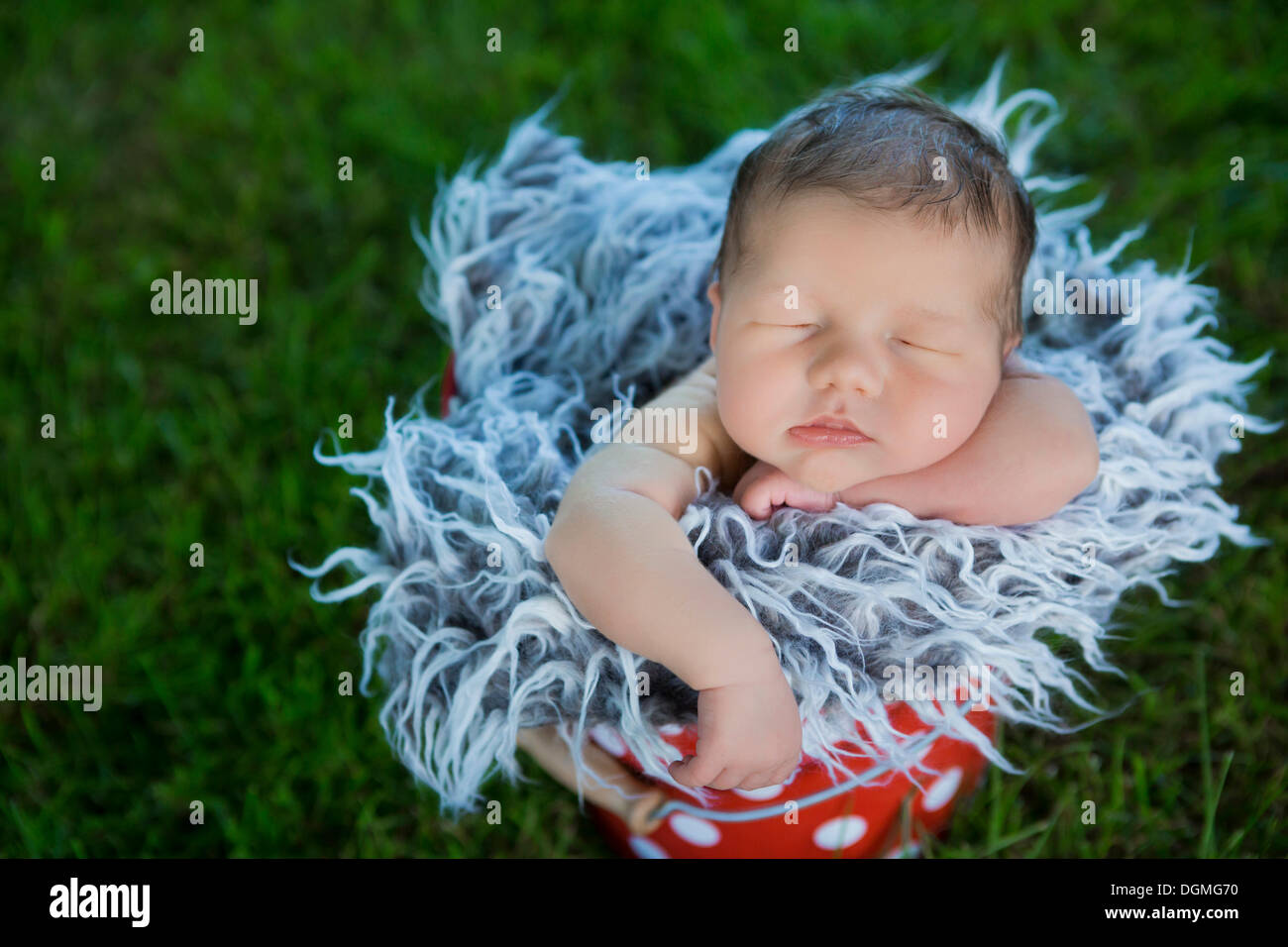 Newborn baby, ten days Stock Photo - Alamy